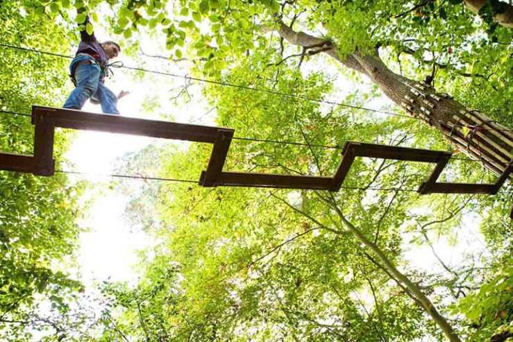 Discover - The Barns